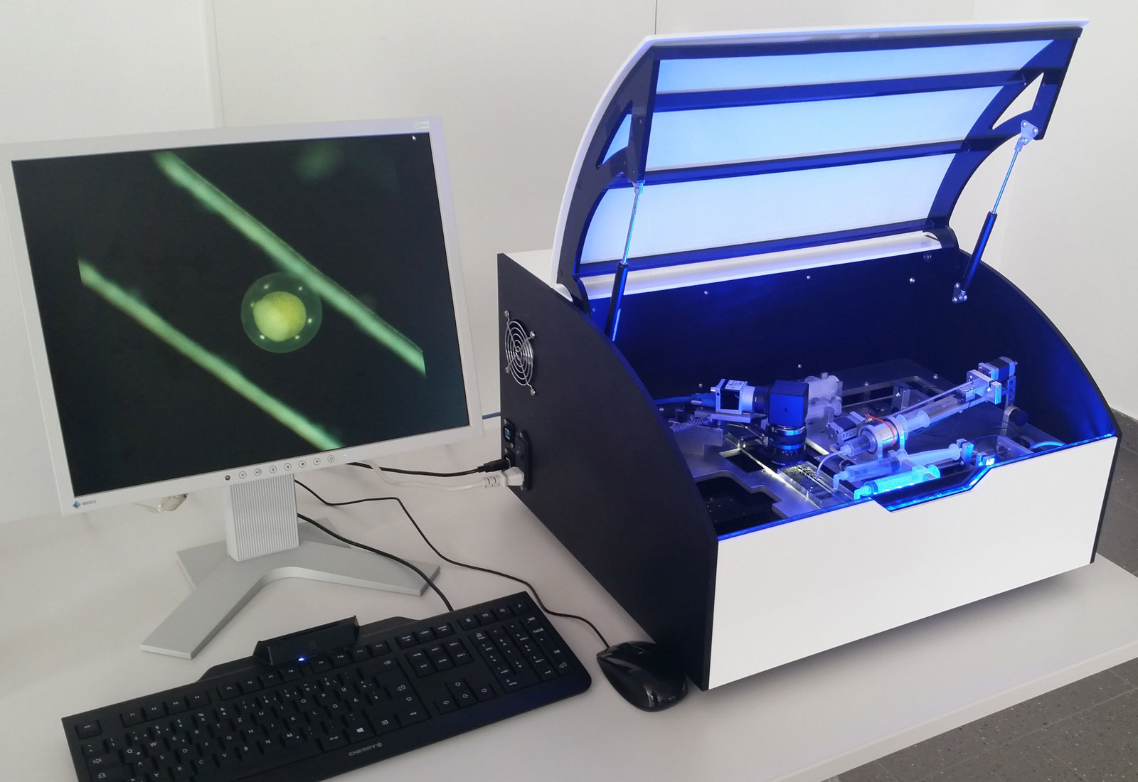 Fischeier mit maschinellem Lernen automatisch sortieren - inVISION