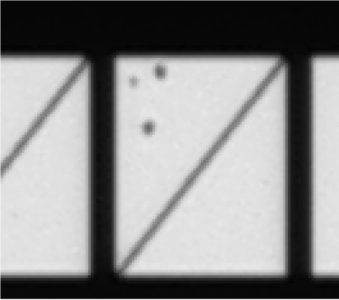 32k TDI Line Scan Camera with New Pixel Offset Technology | inVISION