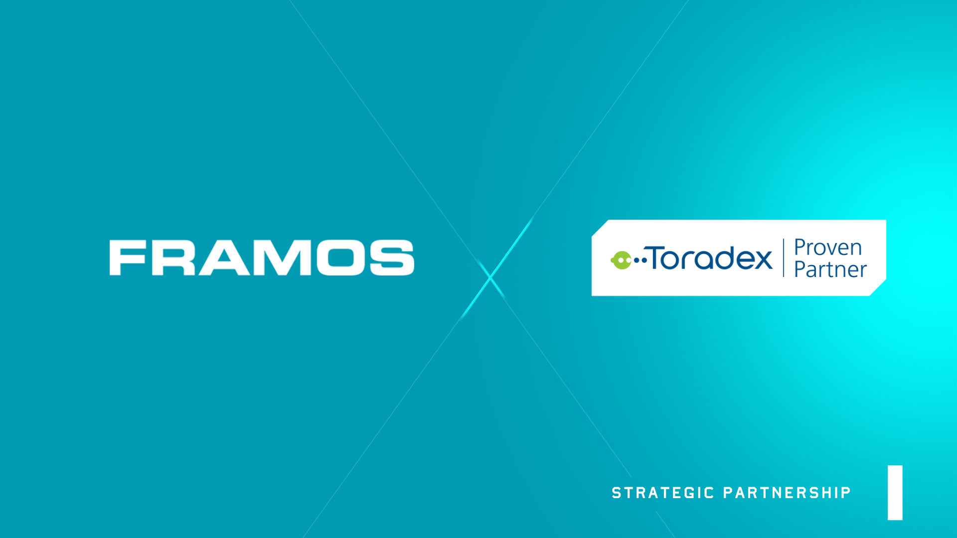 Socotec übernimmt Trigis GeoServices | inVISION