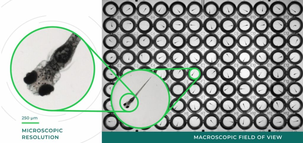 Multi-Camera Array Microscope - inVISION NEWS
