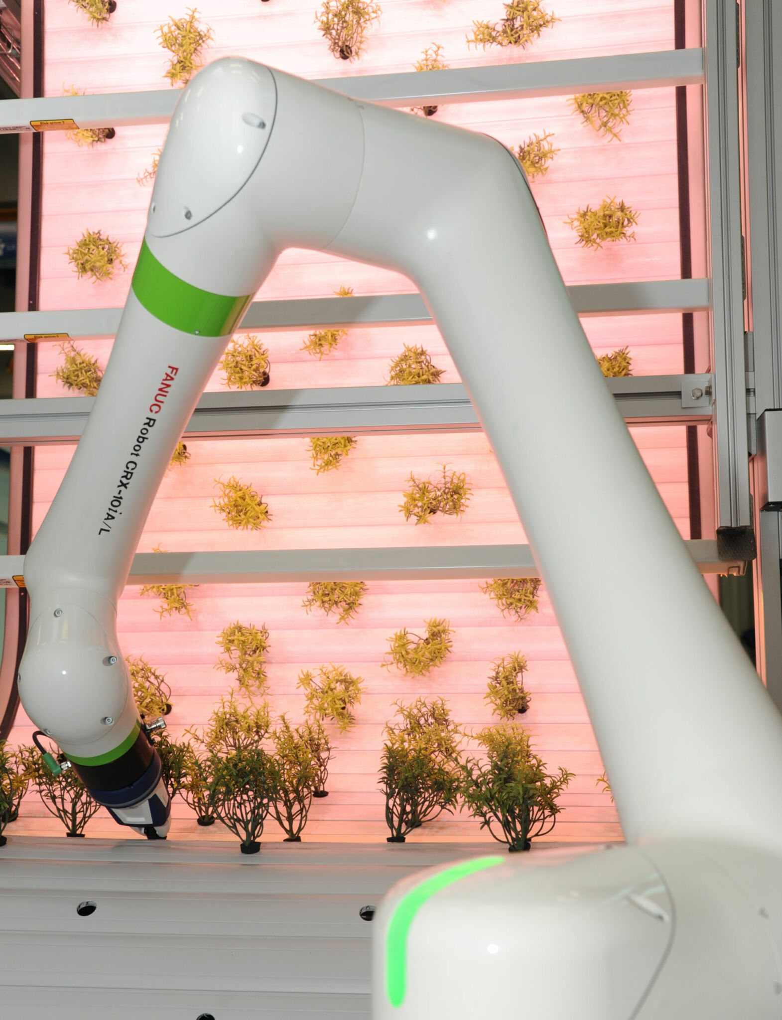 Vertical Farming mit Fanuc-Roboter und Schunk-Greifer | ROBOTIK UND ...